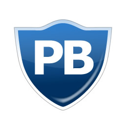 Powerbuilder Logo